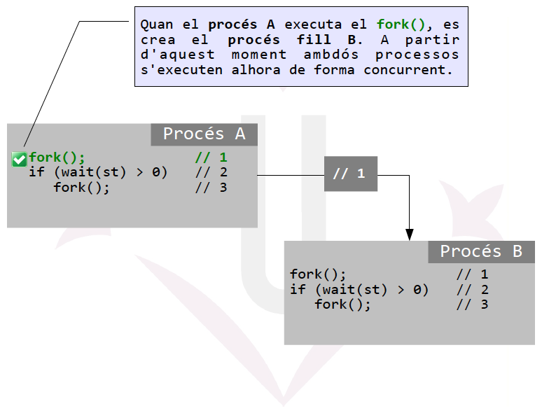 Exercicis de Creació de Processos - Laboratoris de Sistemes Operatius per a estudiants del Grau ...