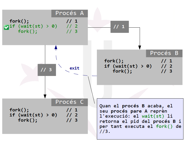Exercicis de Creació de Processos - Laboratoris de Sistemes Operatius per a estudiants del Grau ...
