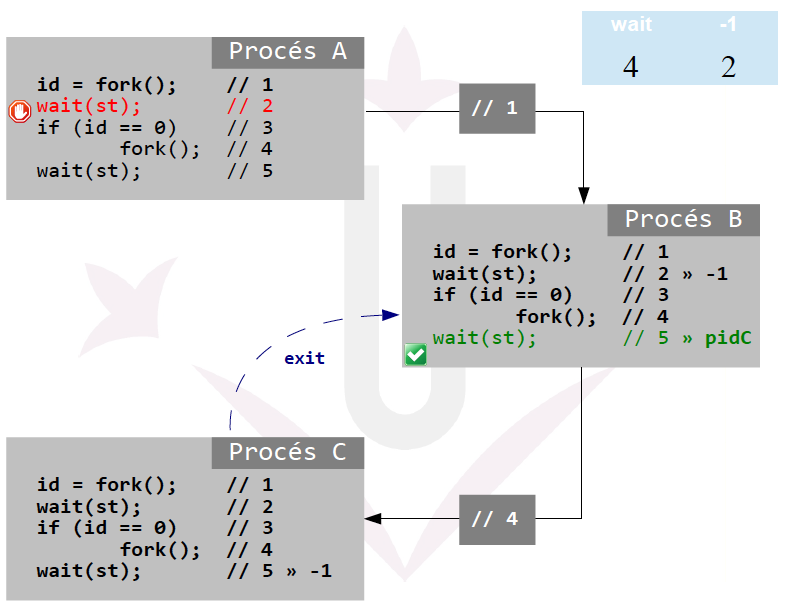 Exercicis de Creació de Processos - Laboratoris de Sistemes Operatius per a estudiants del Grau ...