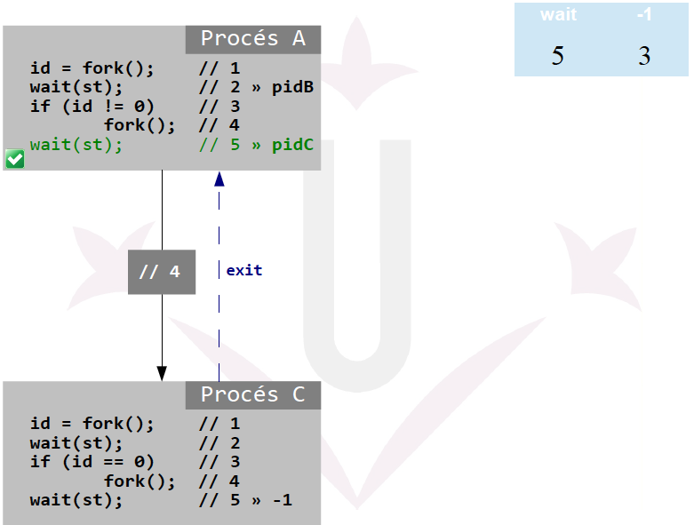 Exercicis de Creació de Processos - Laboratoris de Sistemes Operatius per a estudiants del Grau ...