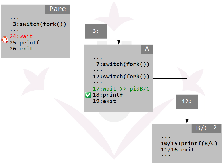 Exercicis de Creació de Processos - Laboratoris de Sistemes Operatius per a estudiants del Grau ...